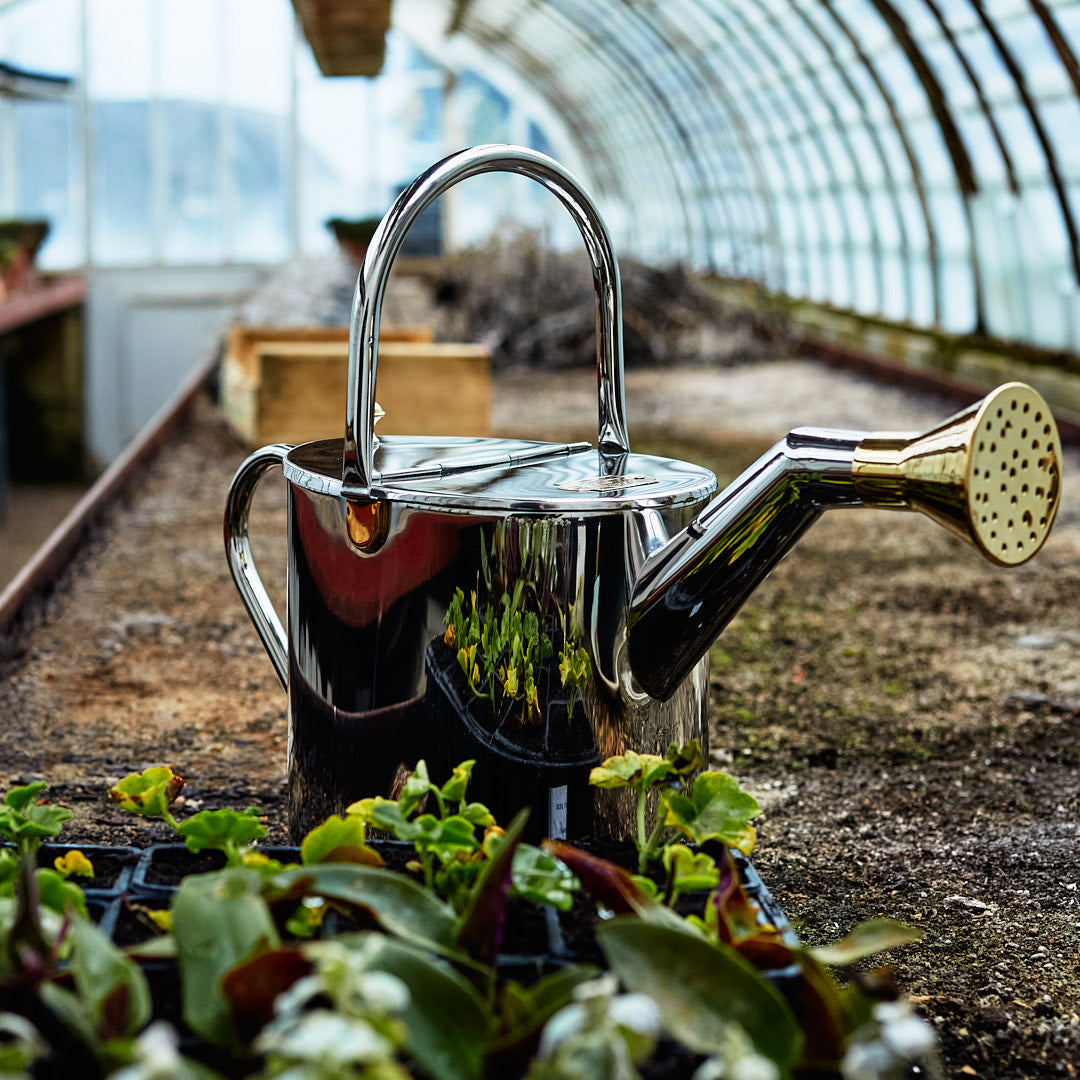 Vintage Stainless Steel Watering Can | Garden & Decoration – Le Prince ...